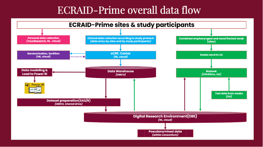 Why data management matters | Ecraid